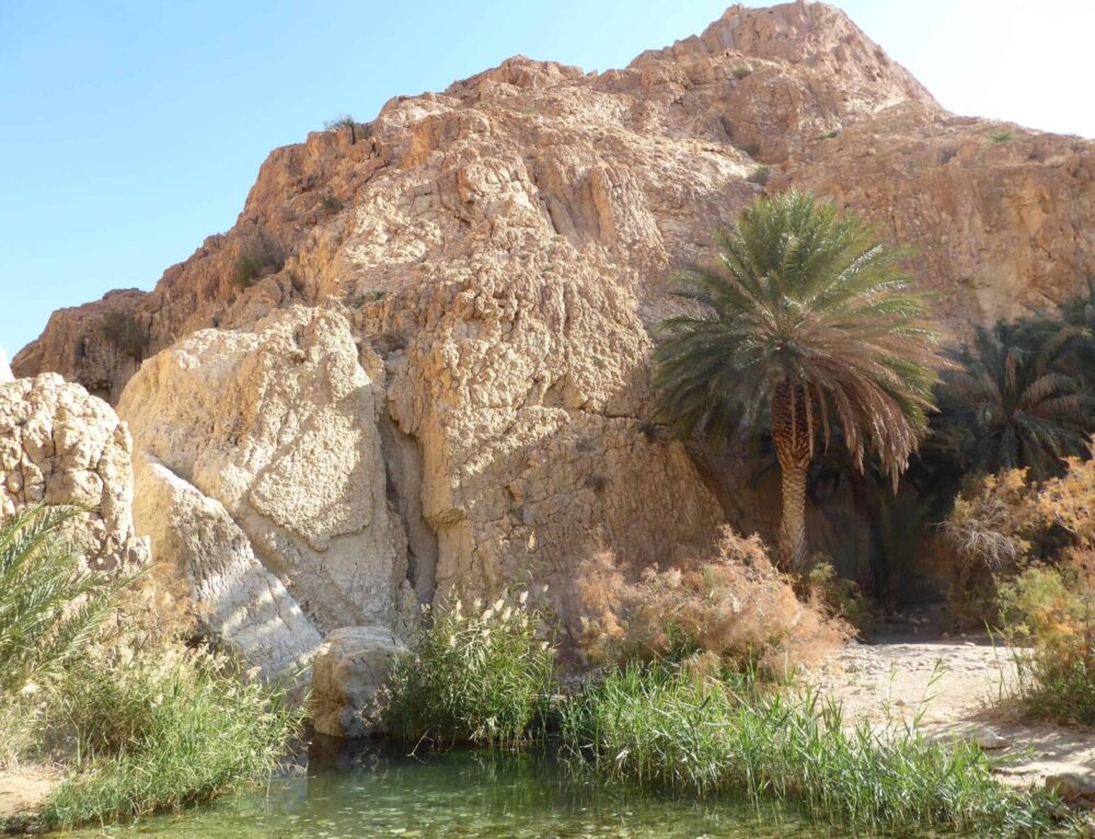 Chott El Djerid the largest salt lake in the Sahara of Tunisia
