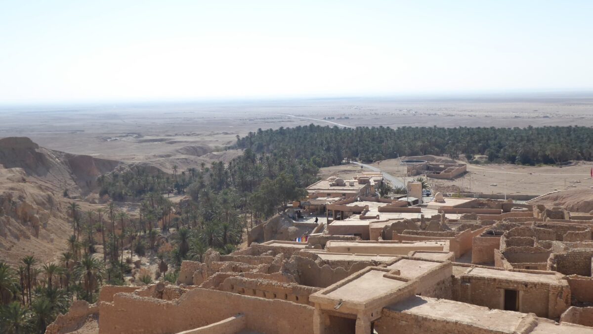 Are you interested in exploring the Sahara Tunisian oasis